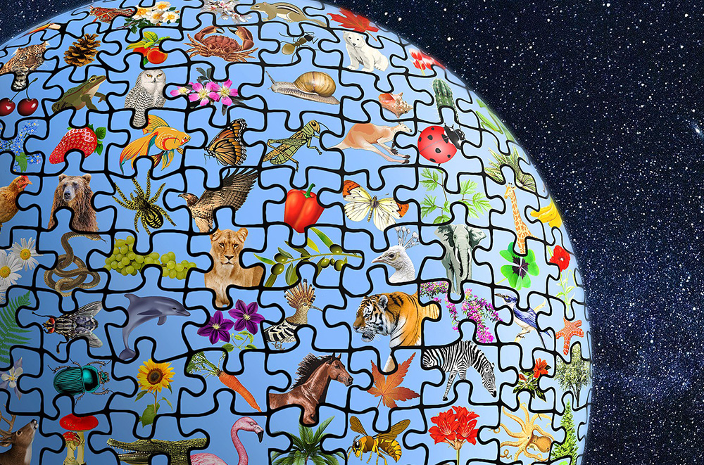 Climate Change and Biodiversity - ARQUS